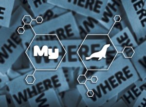 بند WHERE در دستورات MySQL — راهنمای جامع – فرادرس - مجله‌