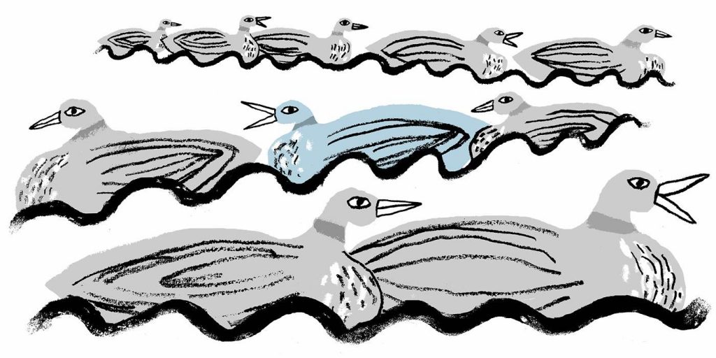 min max transformation – مجموعه مقالات و آموزش ها – فرادرس - مجله‌