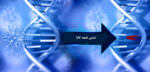 تفاوت DNA و RNA چیست ؟ — همه فرق هایی که باید بدانید – فرادرس - مجله‌