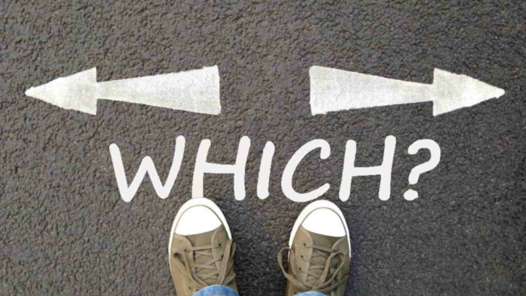 کاربرد which در انگلیسی — توضیح + مثال و تمرین – فرادرس - مجله‌