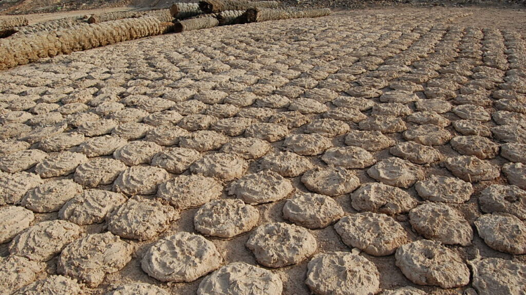 ساروج چیست ؟ – به زبان ساده + نحوه ساخت و تخریب – فرادرس - مجله‌