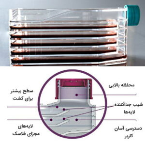 فلاسک کشت سلول چیست ؟ – هر آنچه باید بدانید – فرادرس - مجله‌