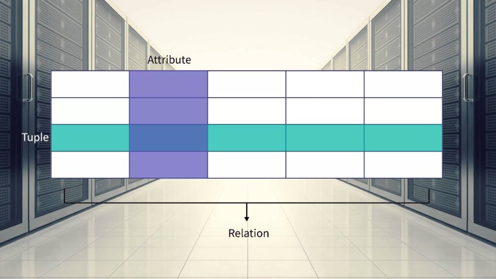 تاپل در پایگاه داده چیست ؟ – توضیح Tuple به زبان ساده – فرادرس - مجله‌