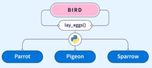 شی گرایی در پایتون چیست ؟ – به زبان ساده + مثال و تمرین – فرادرس - مجله‌